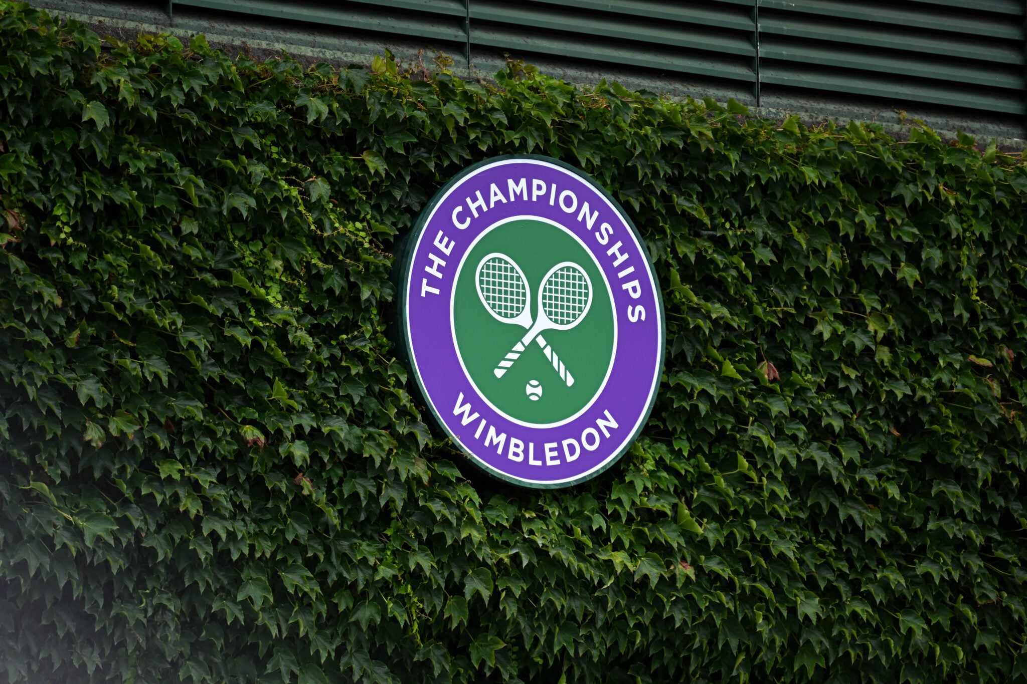 Former Wimbledon quarterfinalist loses in qualifying again, he's only ...